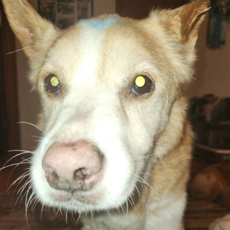 Taylor Coffman Youtube