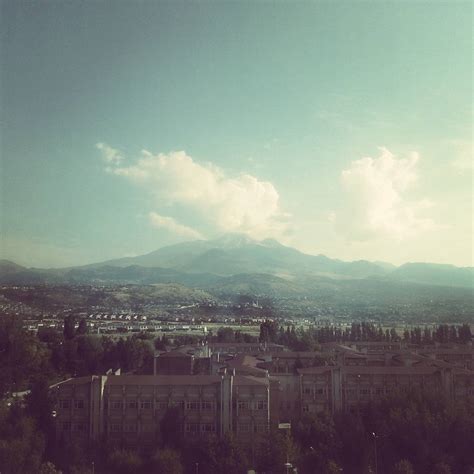 Hassan Dalirian On Tumblr