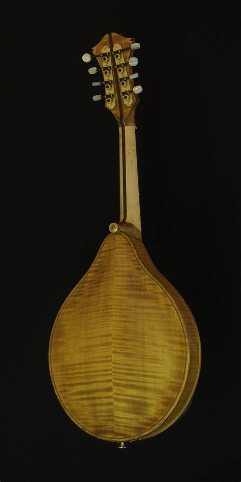 149 Mandolin A Thijs Van Der Harst