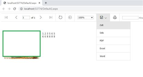 Ssrs Reportviewer Odt Ods 張長豐gamma