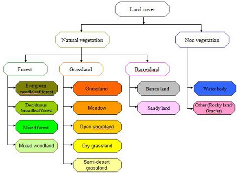 Classification Scheme Of Land Cover Classes Download Scientific Diagram