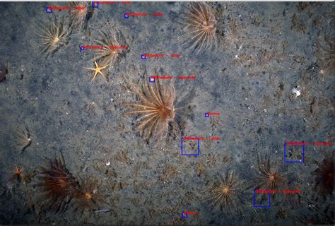 Object Detection For Extremely Small Object Vision Pytorch Forums