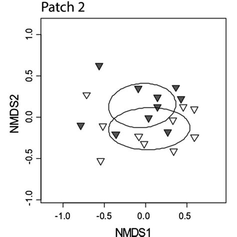 Nmds Ordinations Of Bacterial Assemblages From Replicate Patches Of