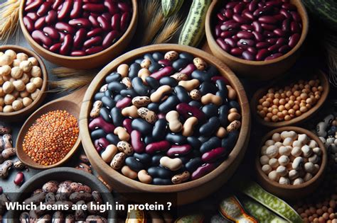 Which Beans Are High In Protein Beans Rich In Protein