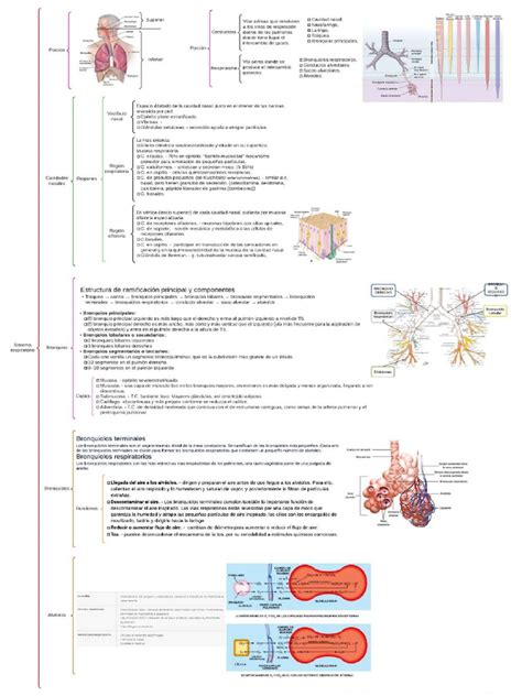 actividad 23 sr pdf