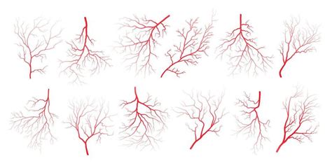 Eye Veins Texture