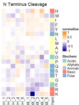 Display Two R Heatmaps With The Same Annotation Side By Side Stack