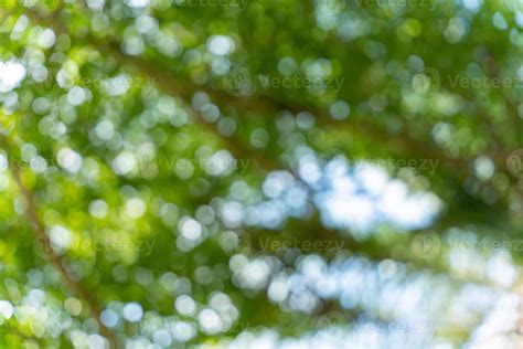 Abstract green nature bokeh background. Soft background blur of natural foliage. 21786664 Stock ...