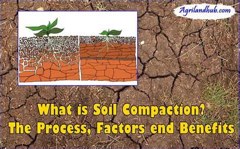 What Is Soil Compaction The Process Factors And Benefits