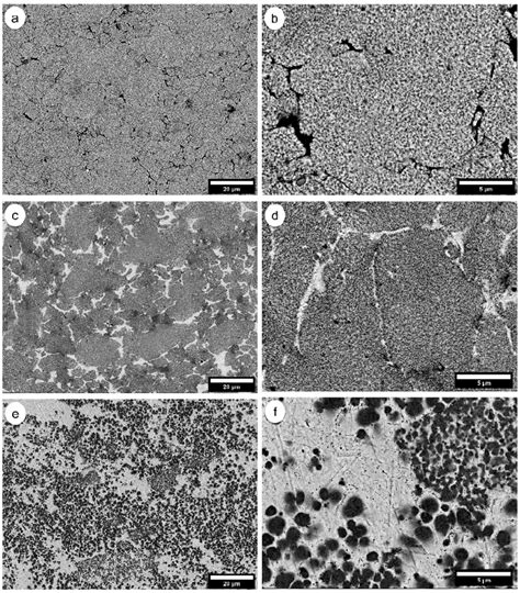 Microstructure Of The Sample Core Ab After Being Heated Up To 473