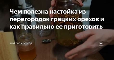 Чем полезна настойка из перегородок грецких орехов и как правильно ее ...