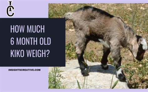 How To Fix The Navisworks Server Busy Error Top Solutions For Seamless Workflow Exclusive