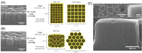 A B Sem Images And The Corresponding Simulation Models Of Assembled Download Scientific