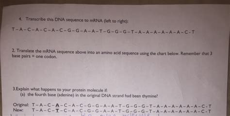 Solved 4 Transcribe This Dna Sequence To Mrna Left To