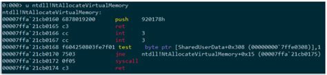 deep hooks monitoring native execution in wow64 applications part 3