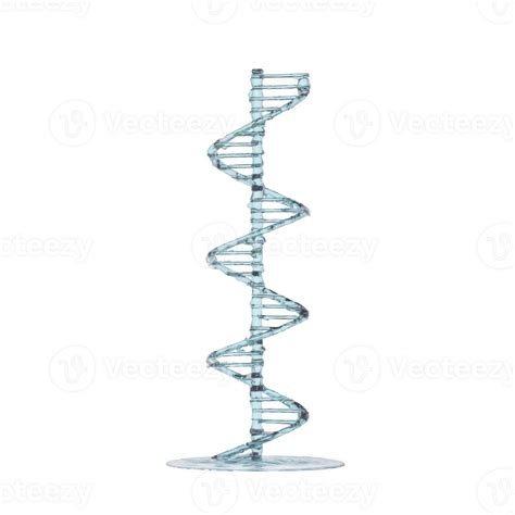 3d Model Of Dna Double Helix Structure Showcasing Iconic Twisted Ladder Shape With Base Pairs