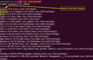 How To List Users In Ubuntu Linux Genie