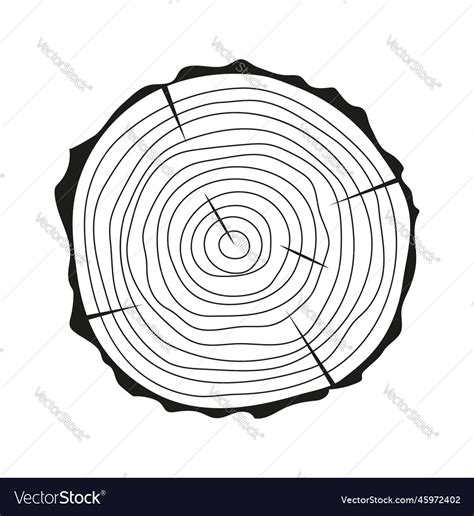 Tree Trunk Cuts In Hand Drawn Sketch Bark Vector Image