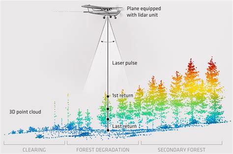 How Lasers Can Unlock A Trove Of Ecological Information Magazine Articles Wwf