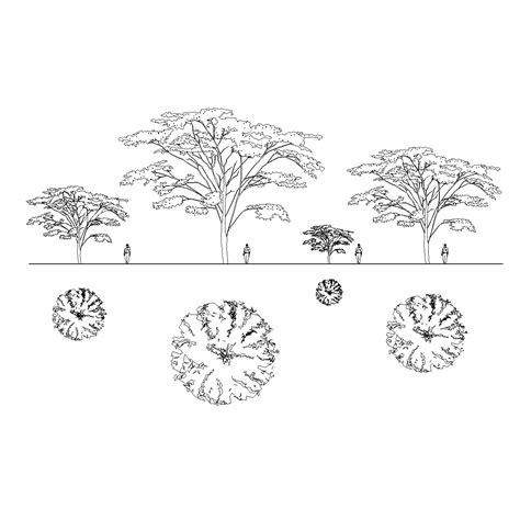 HugeDomains Com Architecture Drawing Art Interior Architecture Drawing Landscape Drawings