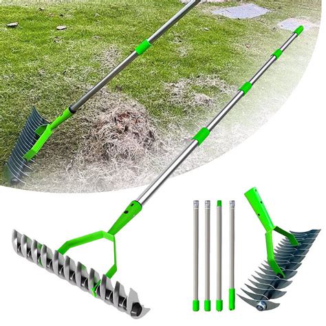 Dethatching Moss Removal At Irene Rayburn Blog