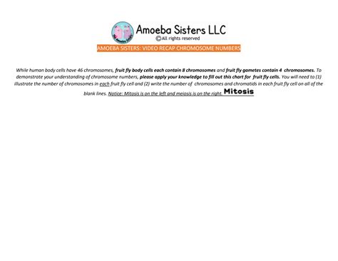 Solution Video Recap Of Chromosome Numbers By Amoeba Sisters 2