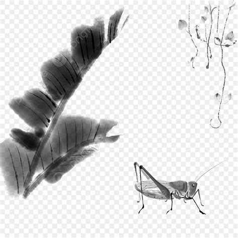 Commercial Ink Wind Insect Grasshopper Plant Ink Wind Chinese Style