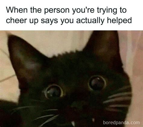 35 Memes To Send To Your Introvert Friends As Shared On This Instagram Page Introvert Humor