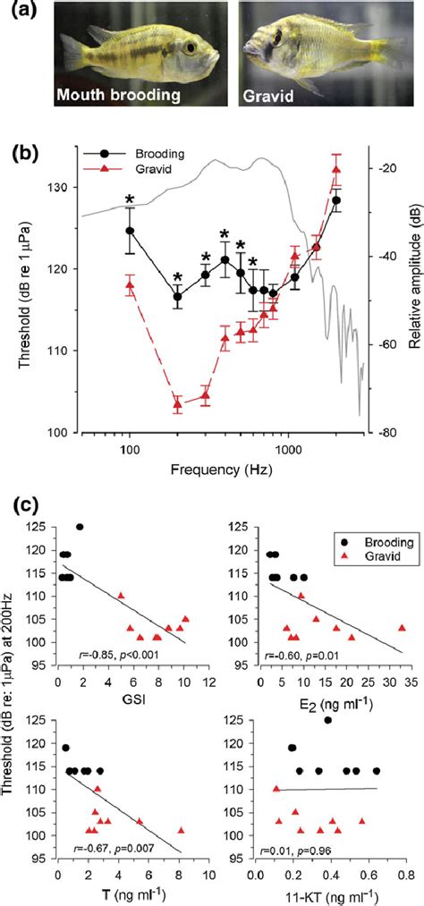 6 Hearing Thresholds In A Burtoni Differ With Female Reproductive