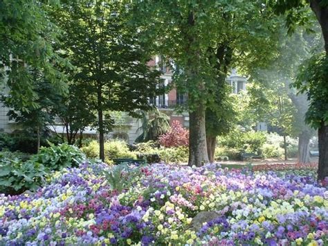 The Garden Aesthetic Garden Beautiful Gardens Planting Flowers
