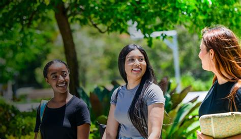 Introduction LearnPress LMS Plugin Demo Grad Babe