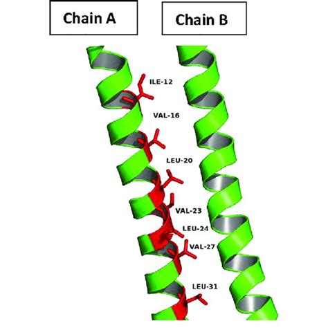 Number Of Pdbsum Non Bonded Interface Contacts For Each Of The Download Scientific Diagram