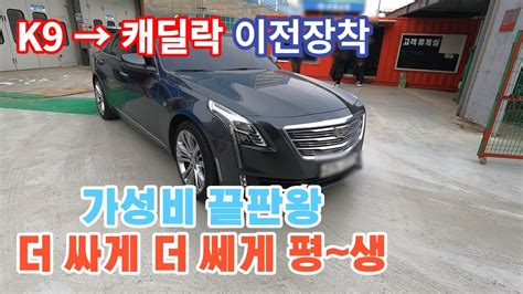 으르렁터보가성비 끝판왕 더 싸게 더 쎄게 평~생 Youtube