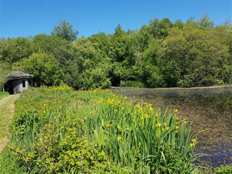 Identifying Trees In Summer Denmark Farm Conservation Centre