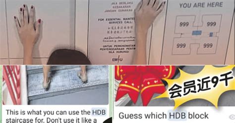 Chitchat Telegram Group With Videos Of People Having Sex In Hdb