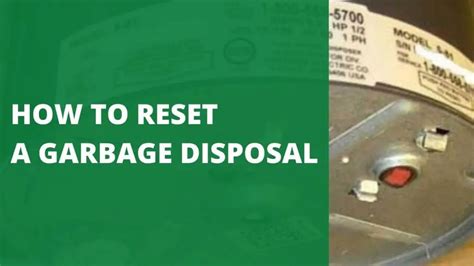 How To Reset A Garbage Disposal
