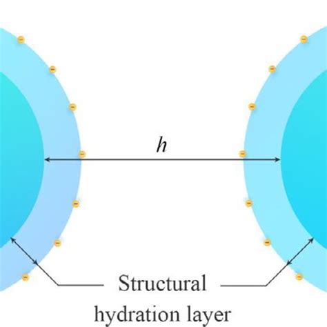 Schematics Of The Hypothesis Of Structural Hydration Layer Solid