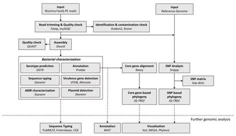 A Practical Bioinformatics Workflow For Routine Analysis Of Bacterial Wgs Data