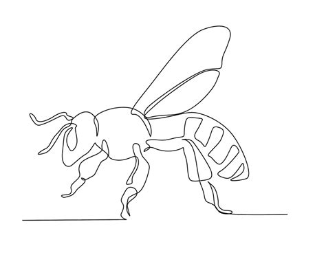 Continuous One Line Drawing Of Fliying Bee Simple Illustration Of Honey