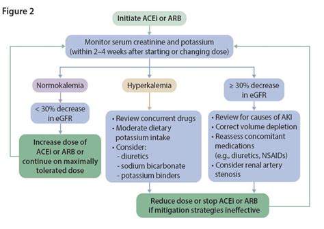 Medvasc Kdigo 2024 Irc