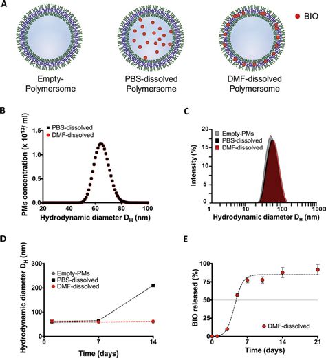 Characterisation Of Polymersomes Loaded With Bio A Cartoon Depicting