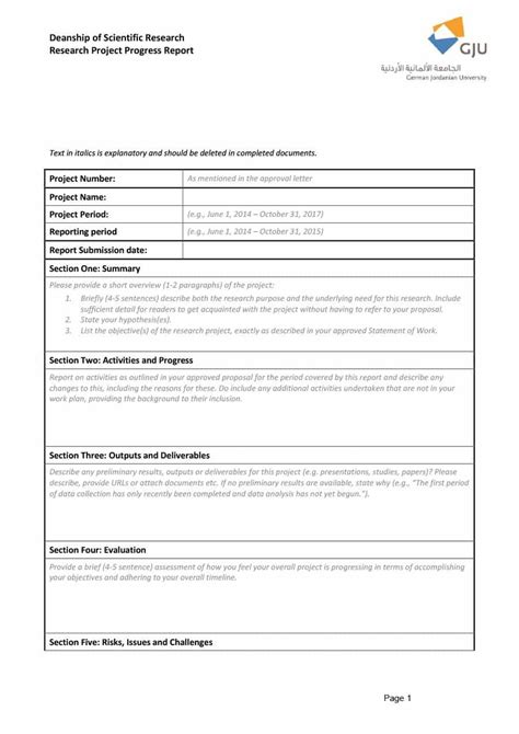 Project Implementation Report Template