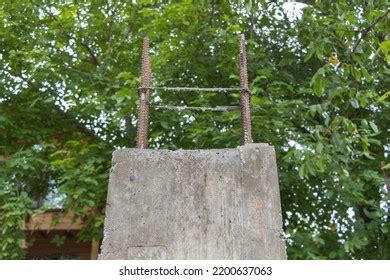 107 113 Tree Column Images Stock Photos Vectors Shutterstock