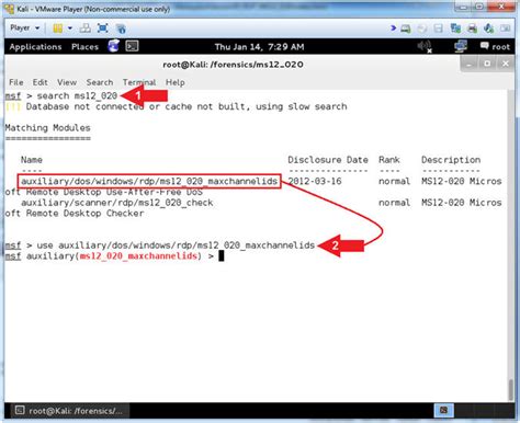 Metasploit Ms12 020 Kali 10 Rdp Windows Exploit Set Memory Crash