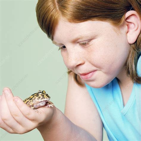 Girl With Her Pet Toad Stock Image F0025778 Science Photo Library