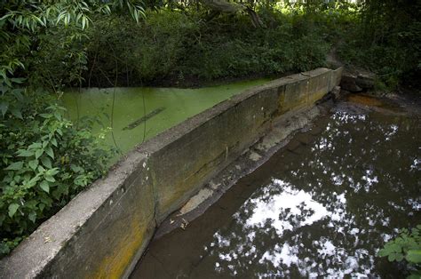 Titchfields Historic Canal Aa