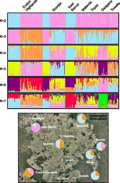 Admixture Bar Plots Representing The Identity Of Individuals Based On Download Scientific
