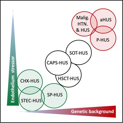 Contribution Of Genetic Susceptibility And Environment‐induced Download Scientific Diagram