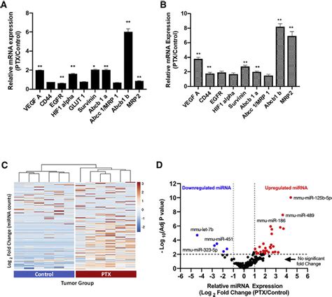 Molecular Profiling In Tumor Cells And Nodules From Id8 Ptx Dosed