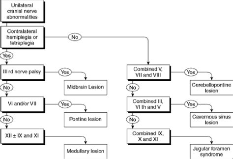 Branches Of Trigeminal Nerve Flow Chart Trigeminal Nerve Anatomy